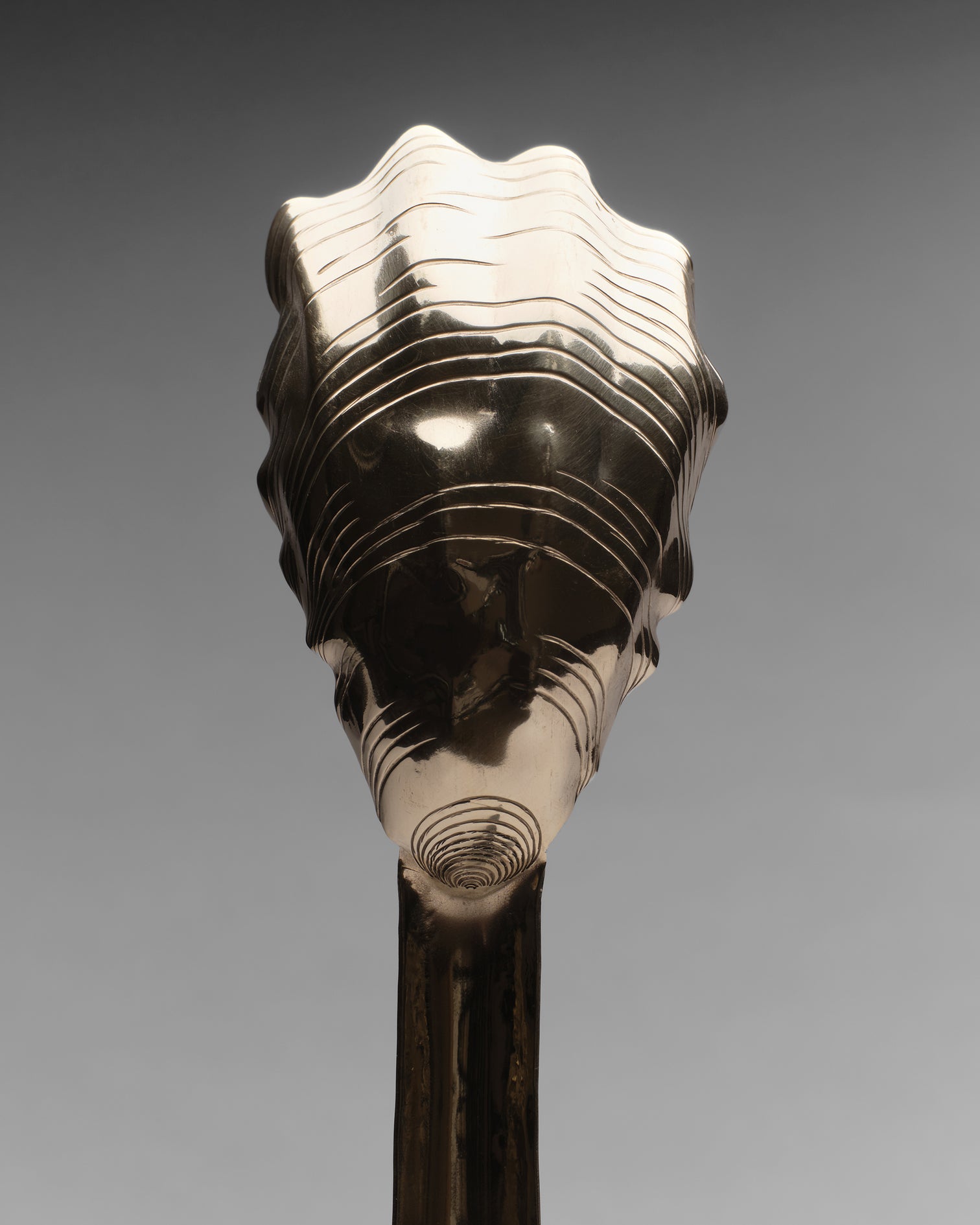 Oyster Shell Serving Set – FORSYTH